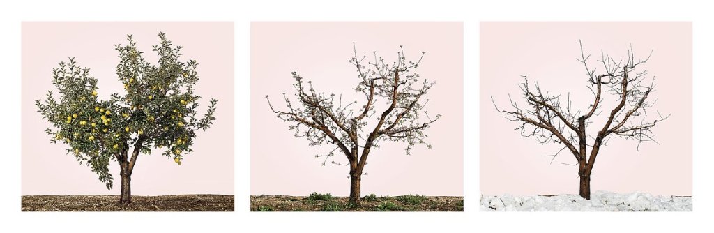 Tal Shochat – Art & Theology