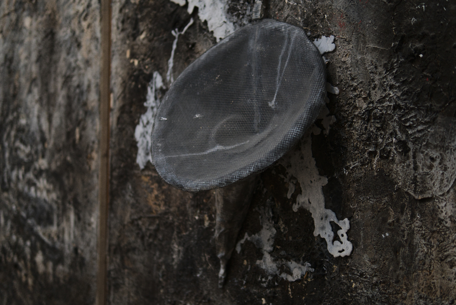 Roundup: Baby Jesus in the rubble of Gaza, a dragon at the Nativity ...