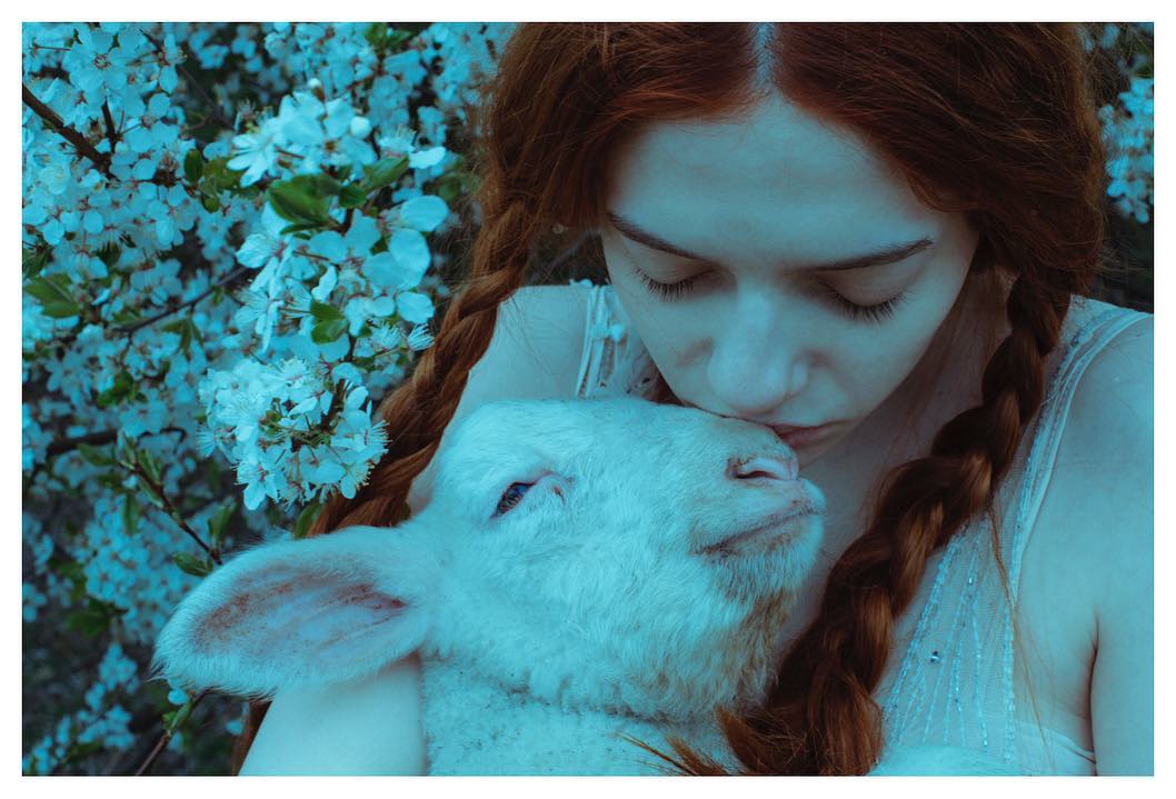 Playlist: The Lord Is My Shepherd (Psalm 23, etc.) – Art & Theology