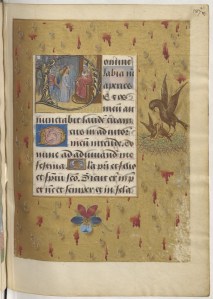 The Vulning Pelican as an Allegory of Christ – Art & Theology