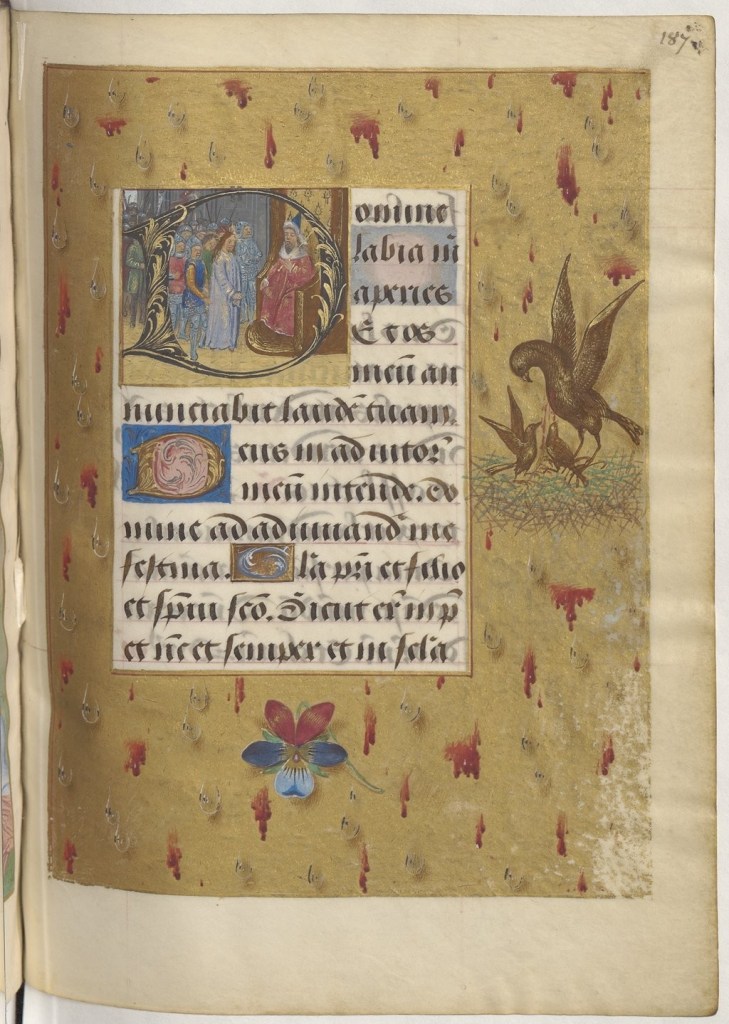 The Vulning Pelican as an Allegory of Christ – Art & Theology