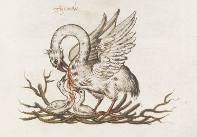 The Vulning Pelican as an Allegory of Christ – Art & Theology