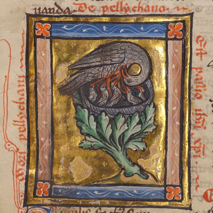 The Vulning Pelican as an Allegory of Christ – Art & Theology
